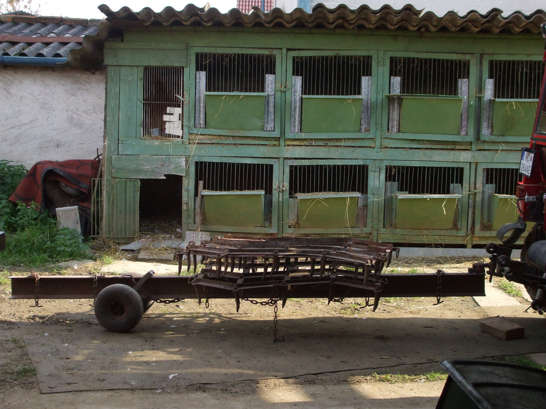 Picture 1167 — Postimages