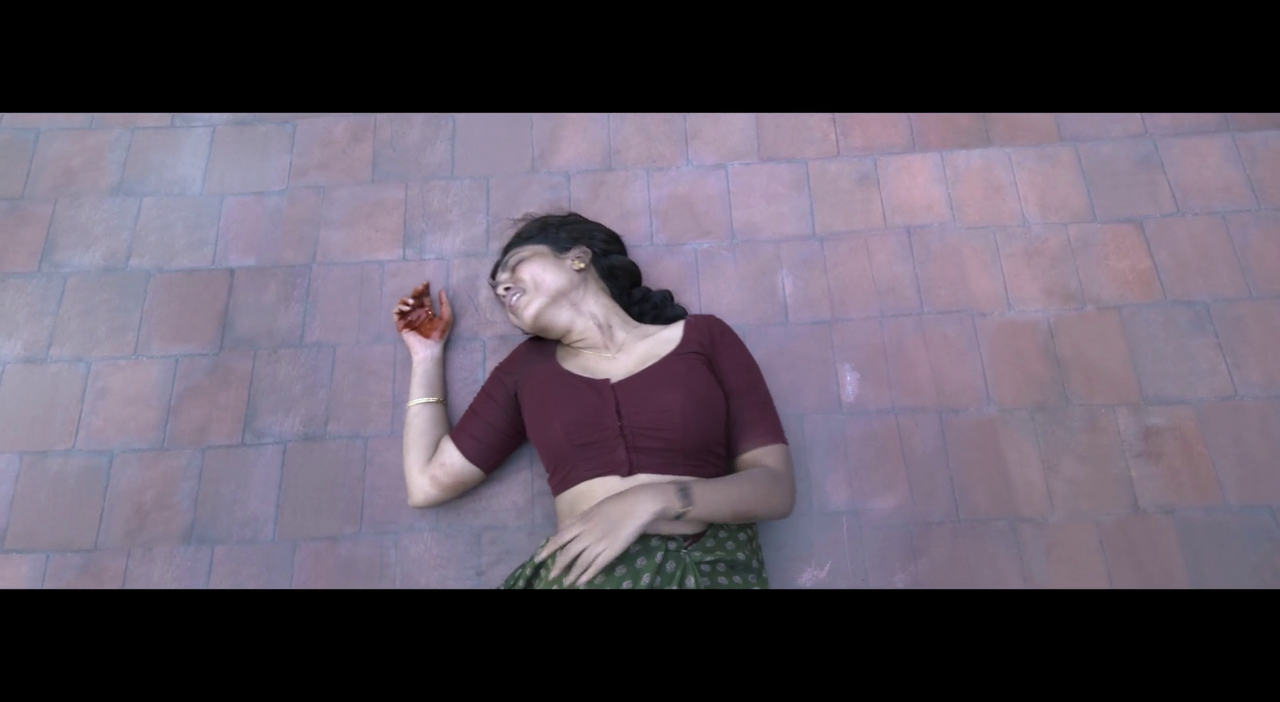 vlcsnap 2025 04 18 17h08m47s140 — Postimages