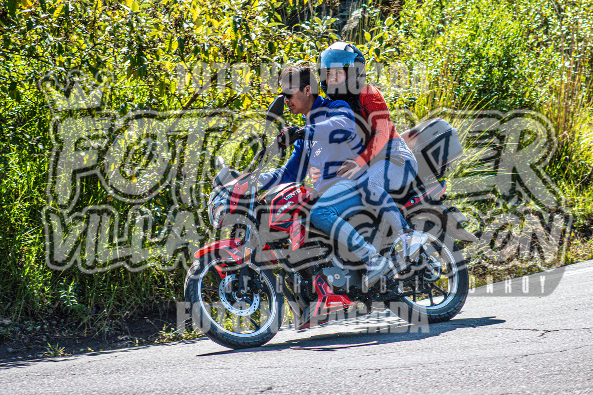 CV 115 — Postimages