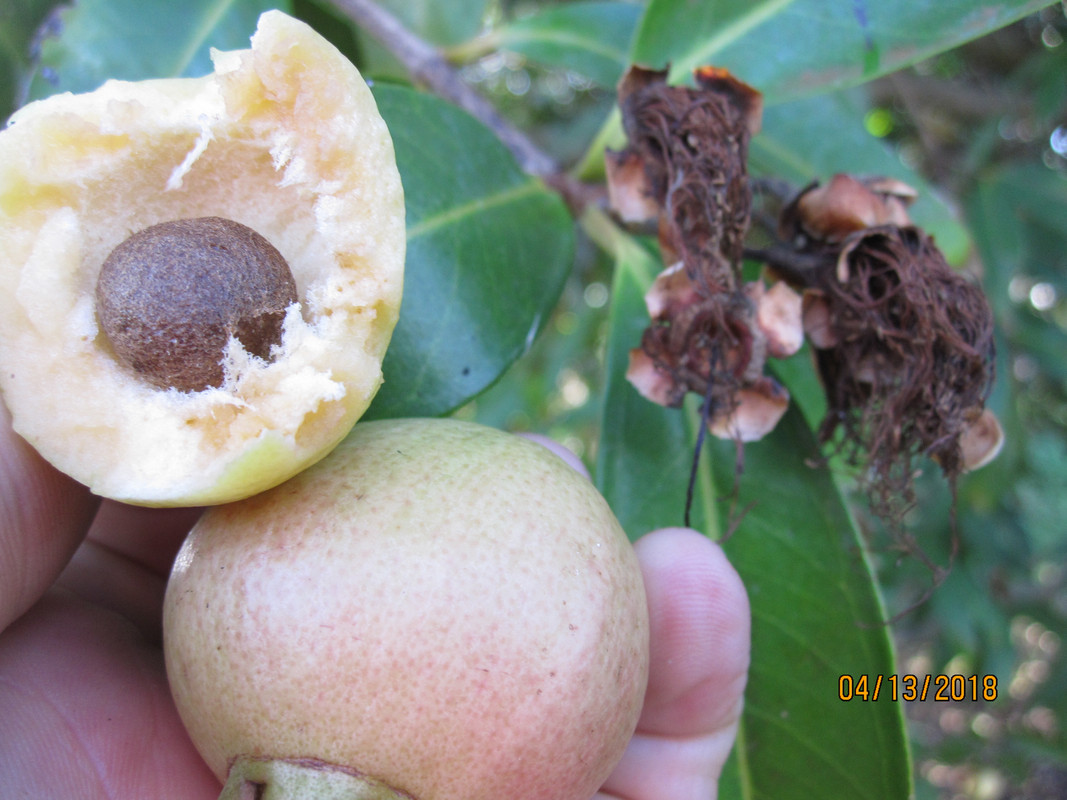 IMG 0825 — Postimages