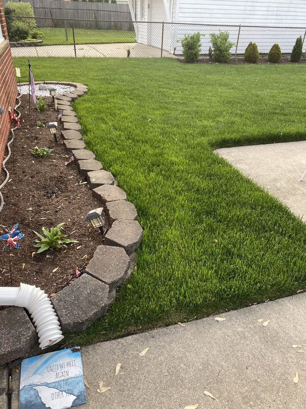 Machine for digging trench edging? | Lawn Care Forum
