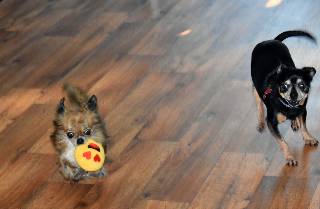 DSC 0014 AMB24 7 22 — Postimages