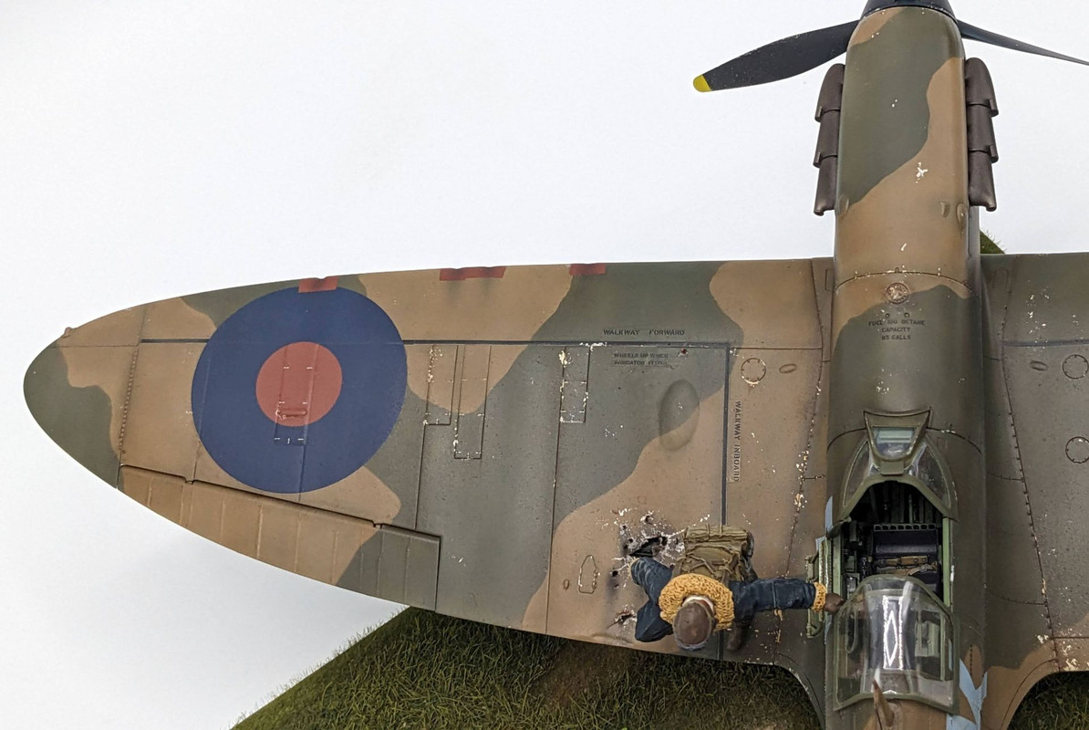 "Bit of a rough go today, eh, chap?" - Ready for Inspection - Large ...