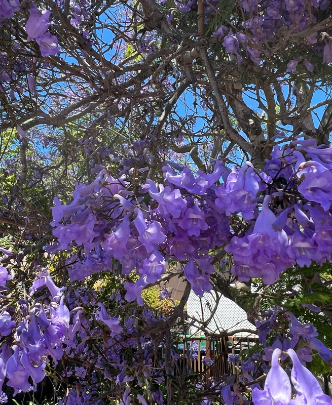 4 B6093 B8 C2 B5 444 B BB00 3 BD62 BC83401 — Postimages