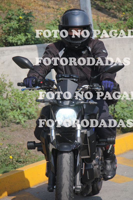 IMG 3756 — Postimages