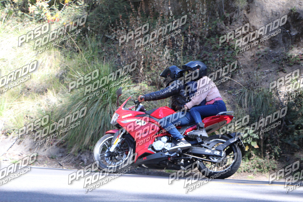 IMG 8948 wm 2496242 0999999996 watermarked — Postimages