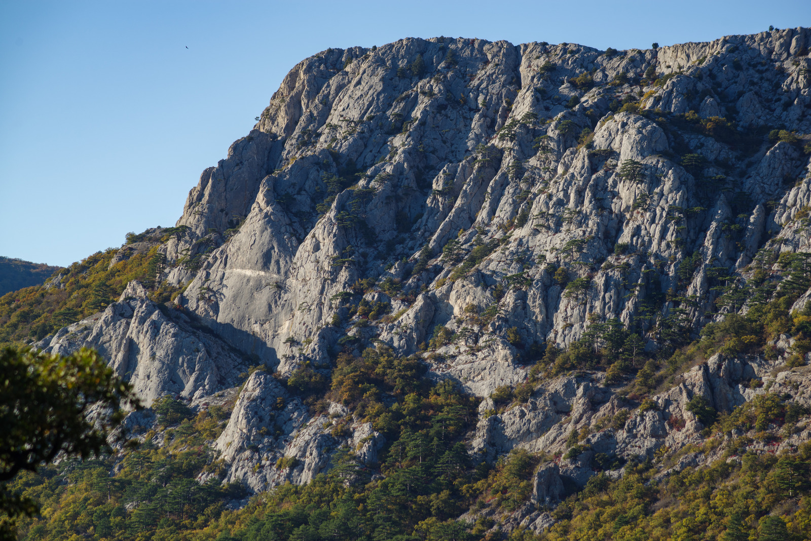 V0005604 1600 — Postimages