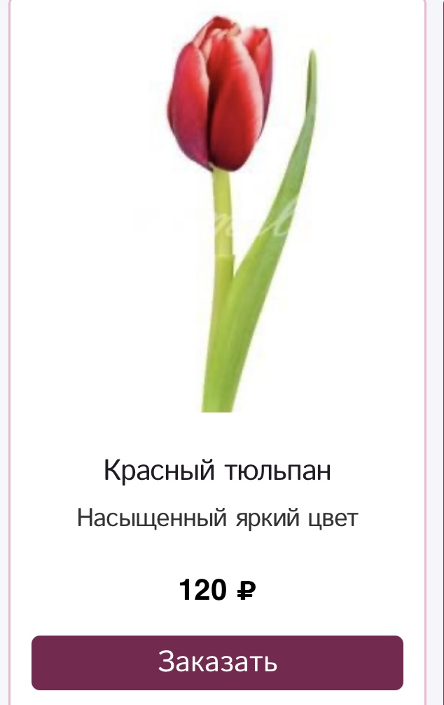 IMG 1794 — Postimages