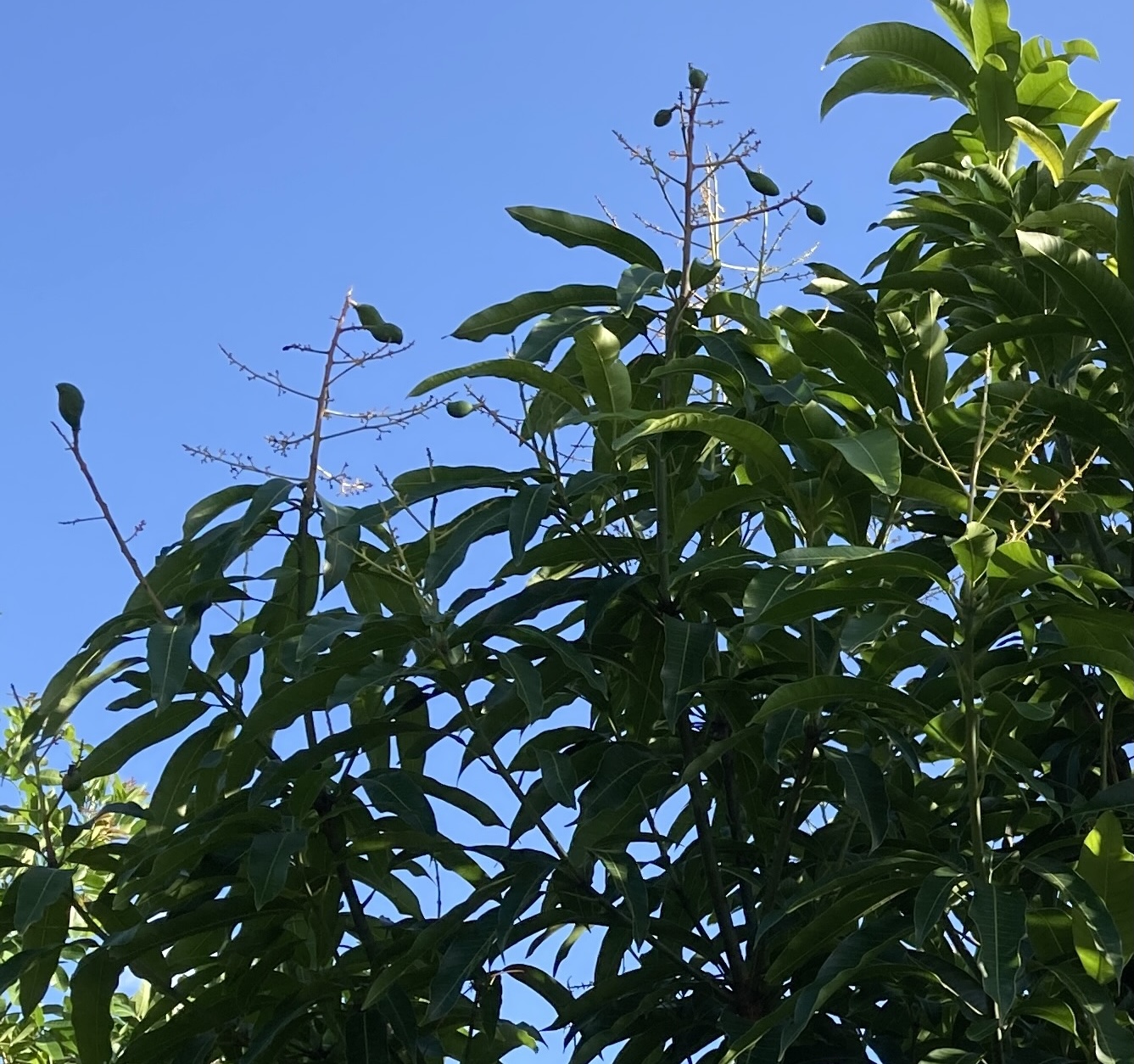 509 D4267 B452 48 B4 85 D6 3544 F45 F77 A7 — Postimages