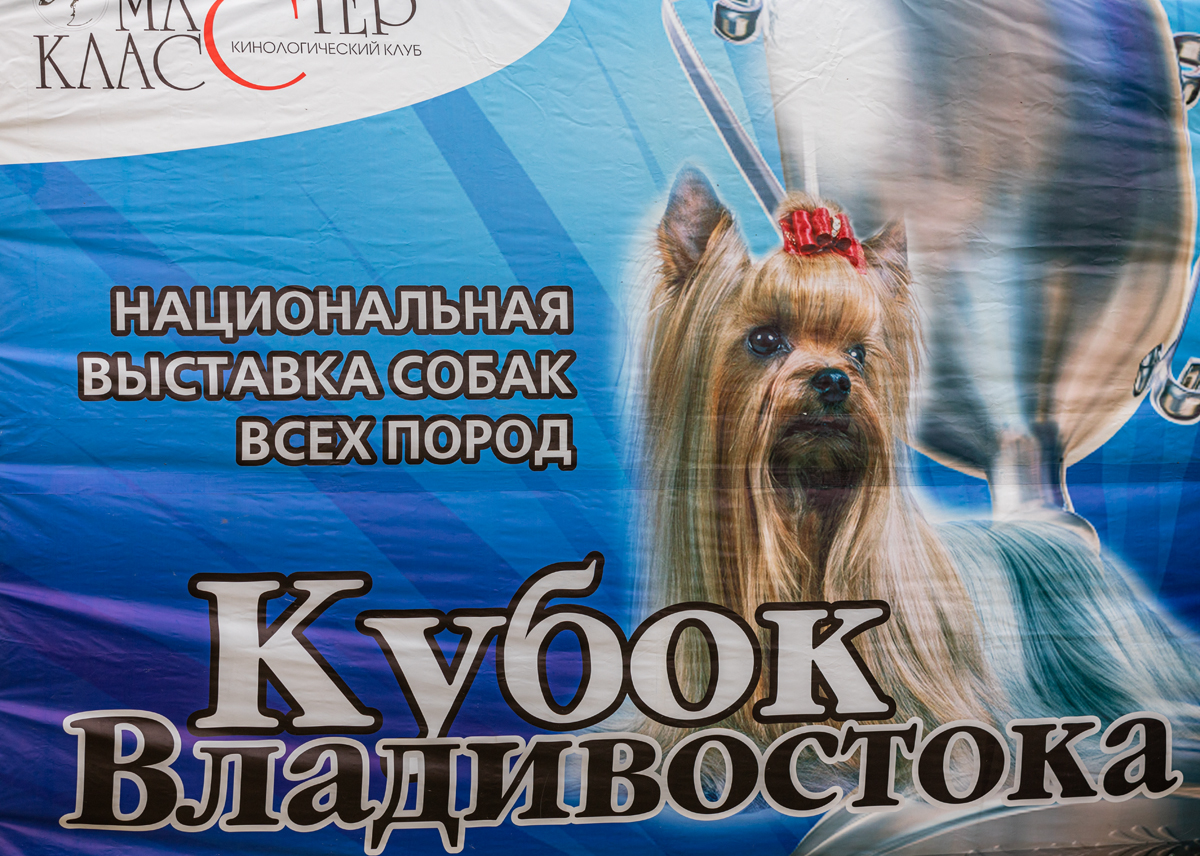 КВ 1112 — Postimages