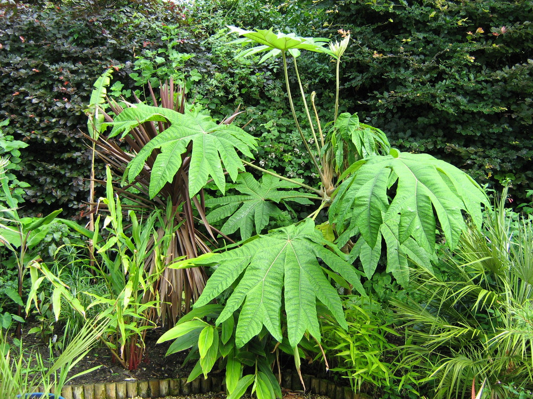 Garden 012 — Postimages