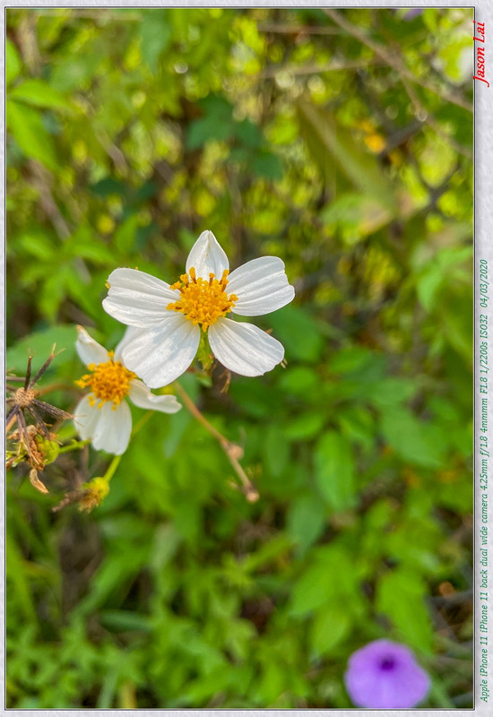 20200403 111820 IMG 5149 — Postimages