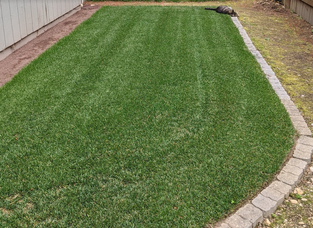 Best place for KBG selection | Lawn Care Forum