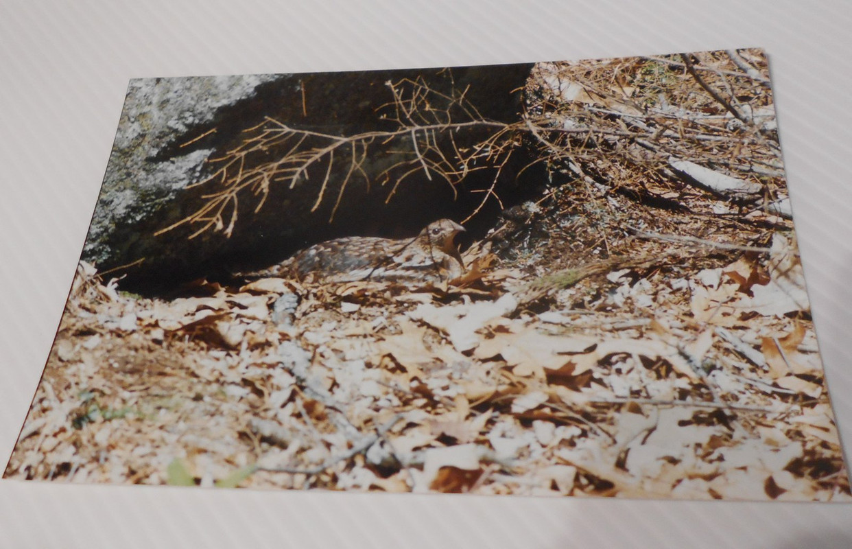 DSCN5548 (2) — Postimages