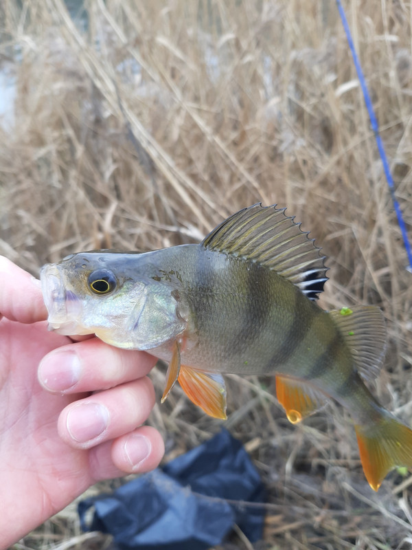 20191113 132335 — Postimages