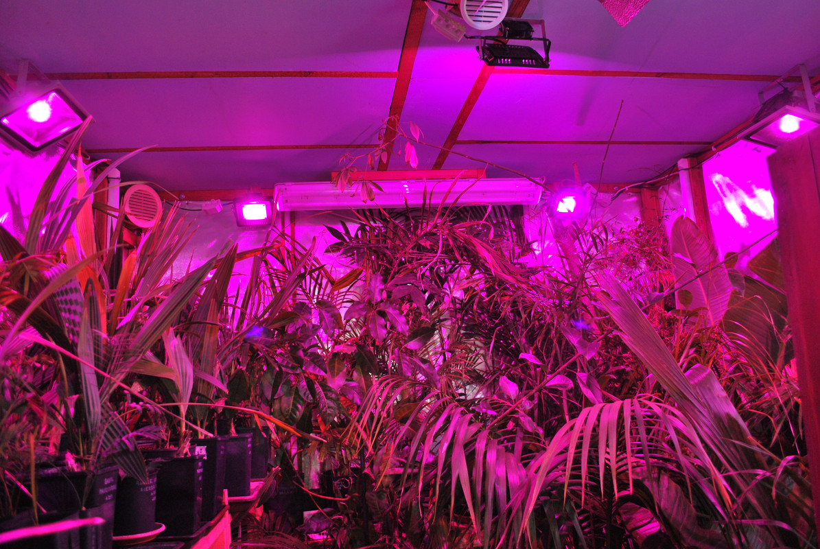 DSC 0013 — Postimages