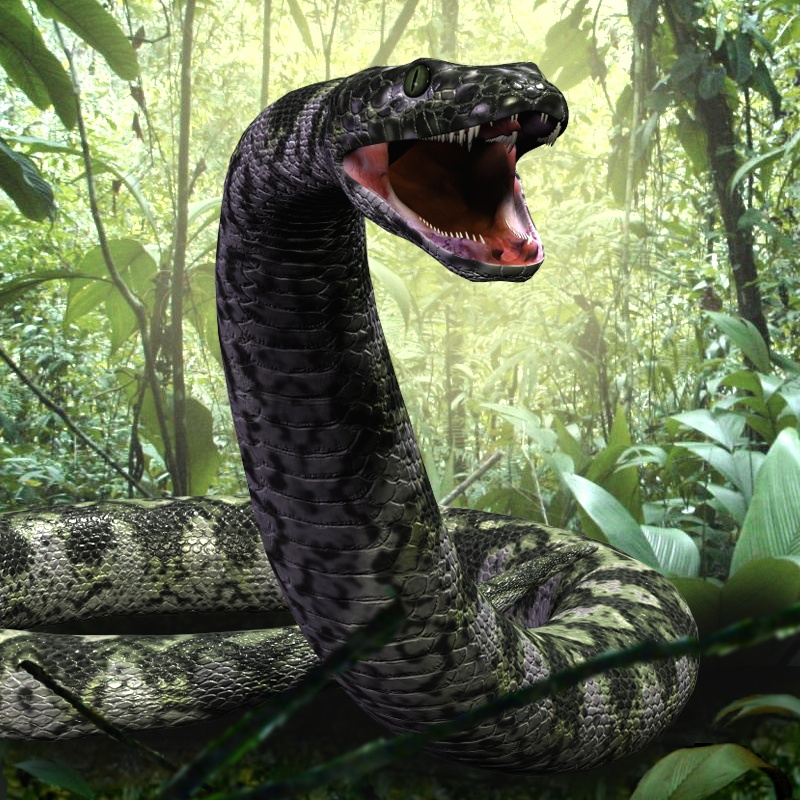 Madtsoia Vs Titanoboa