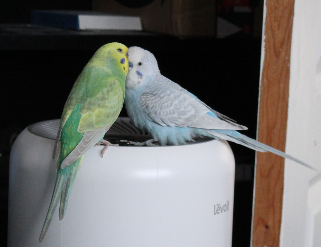 20231117141416 IMG 1841 — Postimages