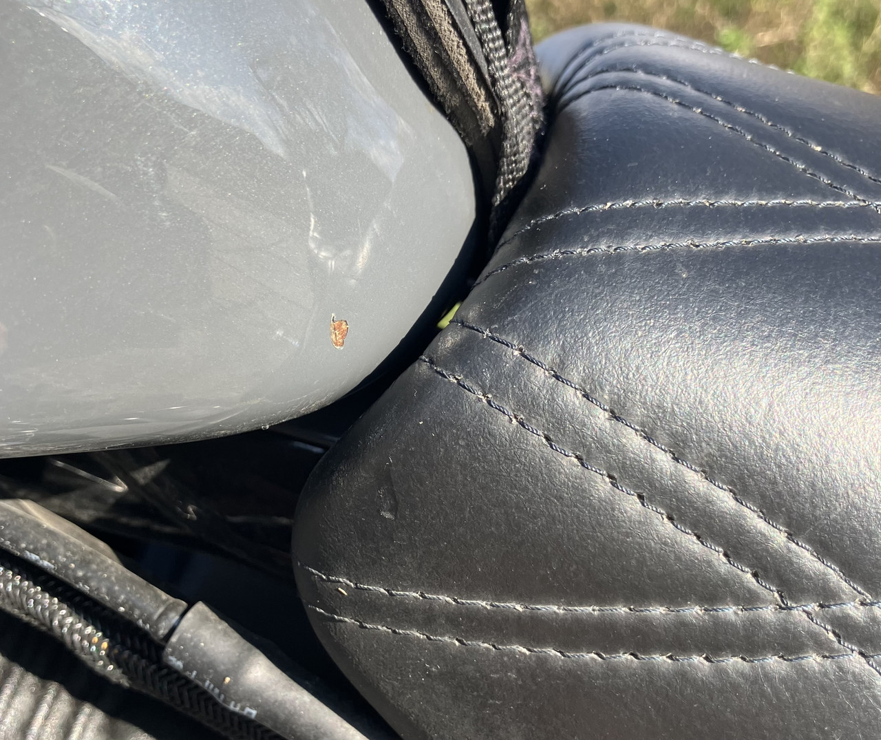 Paint chip on the 883 Sportster - 24hourcampfire