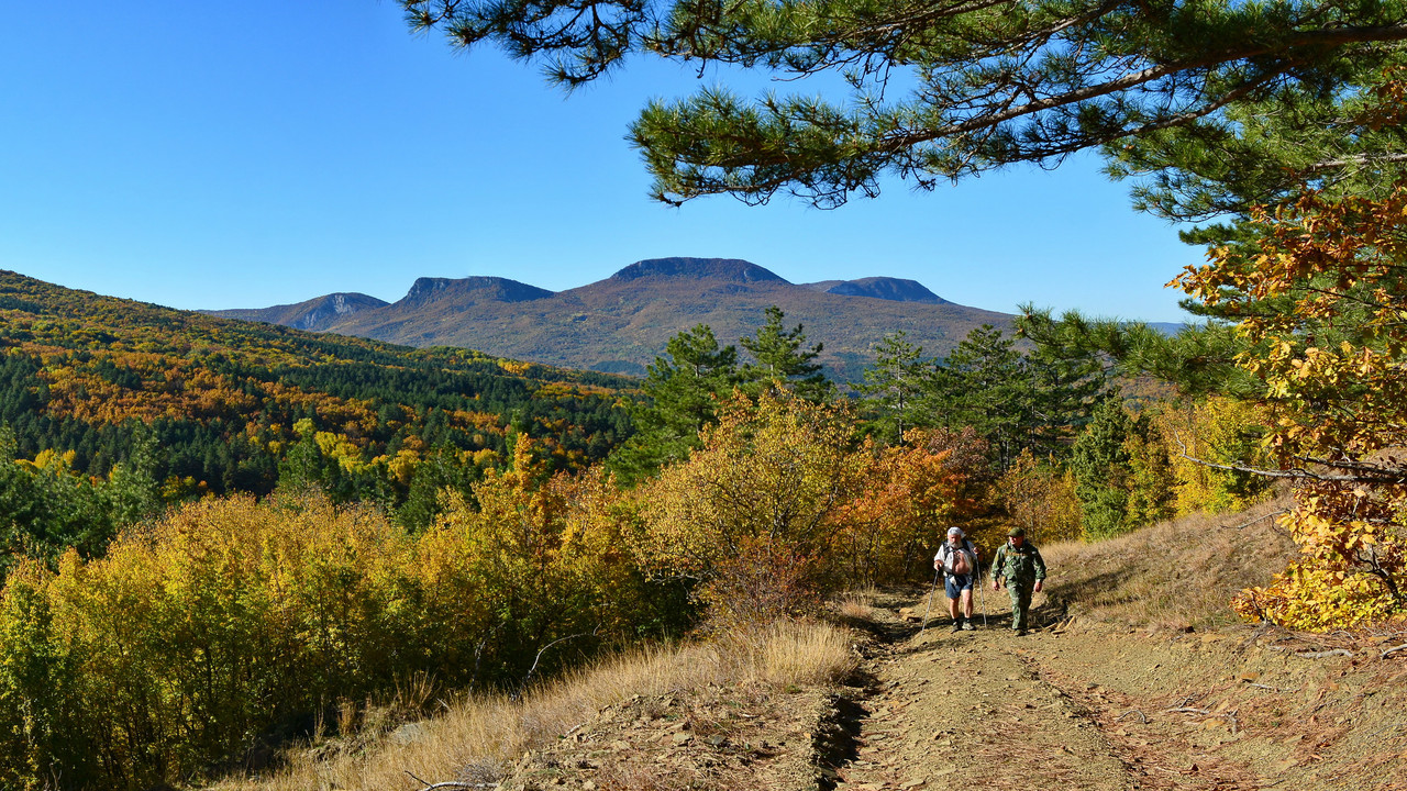 [ Group 04] DSC 8593 DSC 8598 6 images — Postimages