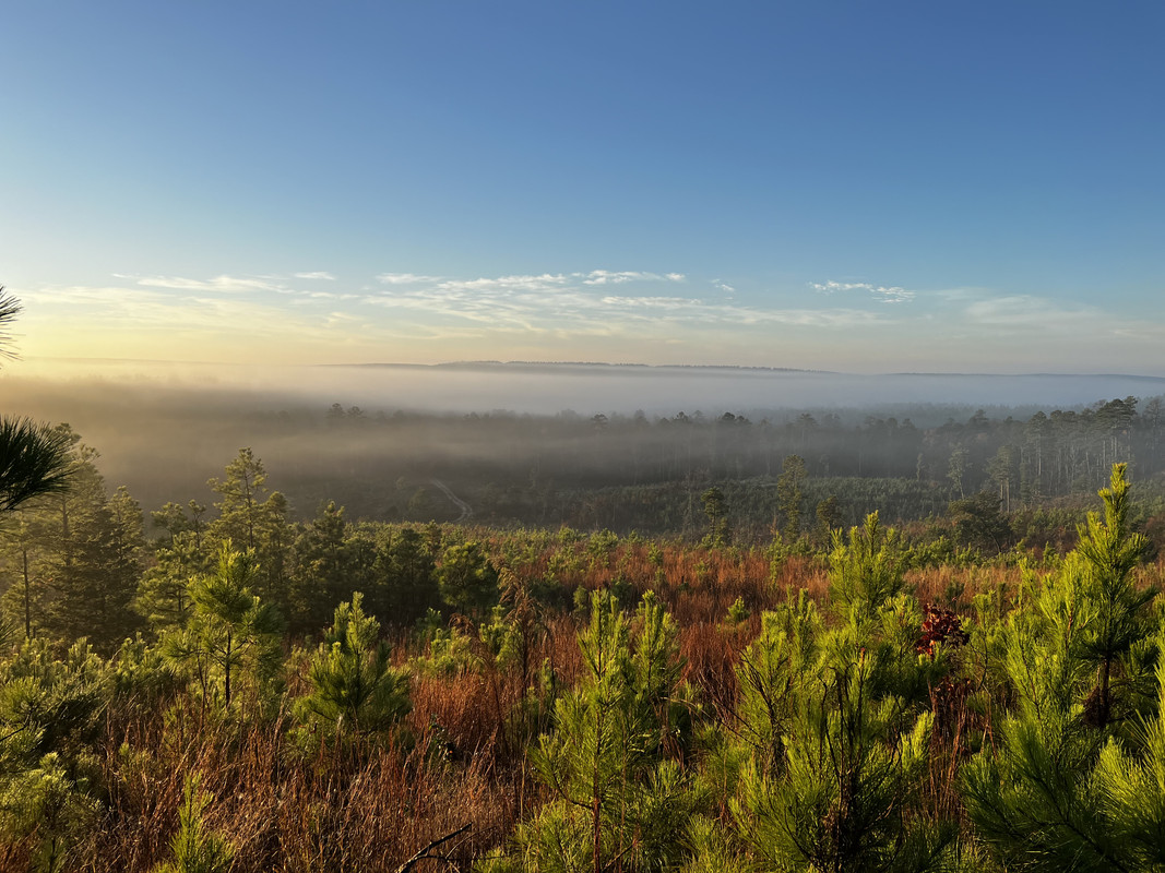 IMG 2819 — Postimages