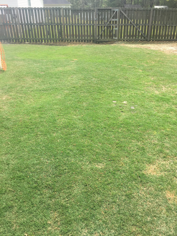 3 29 18 donor site — Postimages