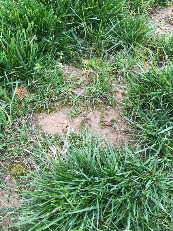 IMG 3398 — Postimages