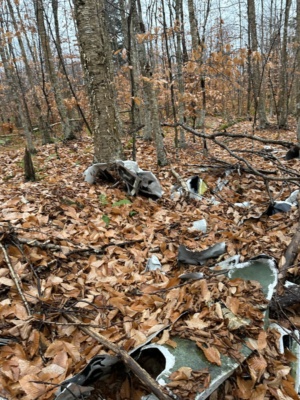 IMG 3054 — Postimages