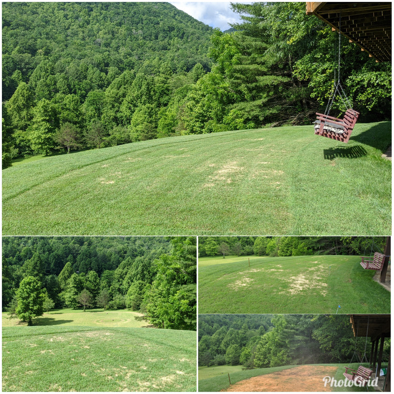 Side of Mountain leveling project | Lawn Care Forum