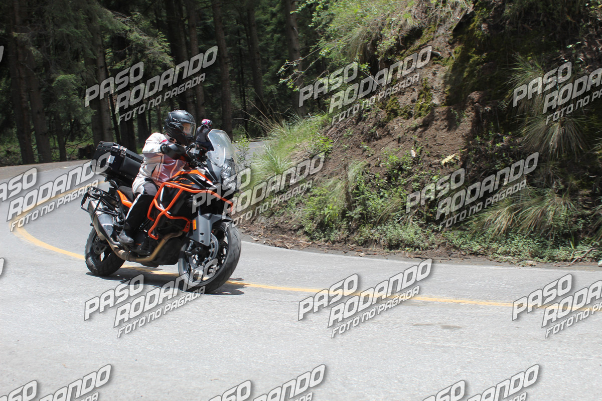 IMG 3769 wm 6951815 7 watermarked — Postimages