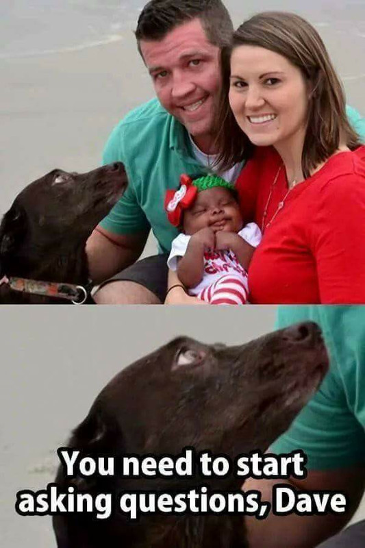 INSANE SPINSTER DOUBLES DOWN – The Burning Platform