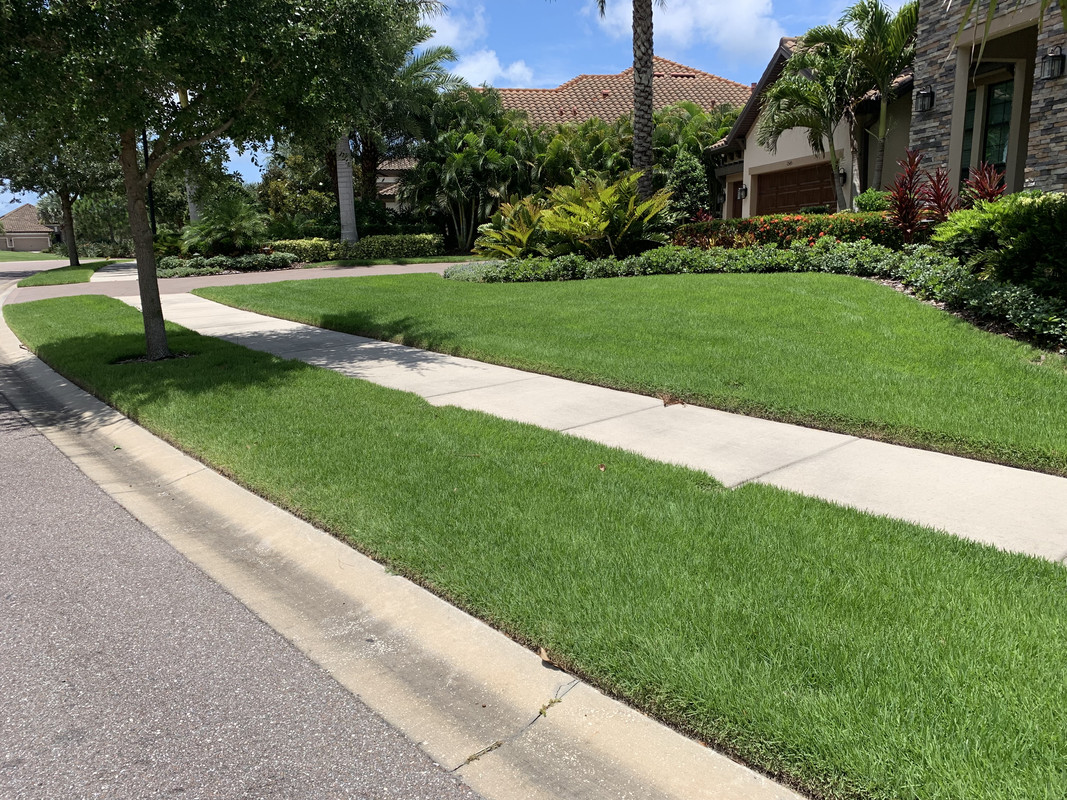 CB6 DB2 E0 7 C95 4144 9 DCA ED343 E73 E85 A — Postimages