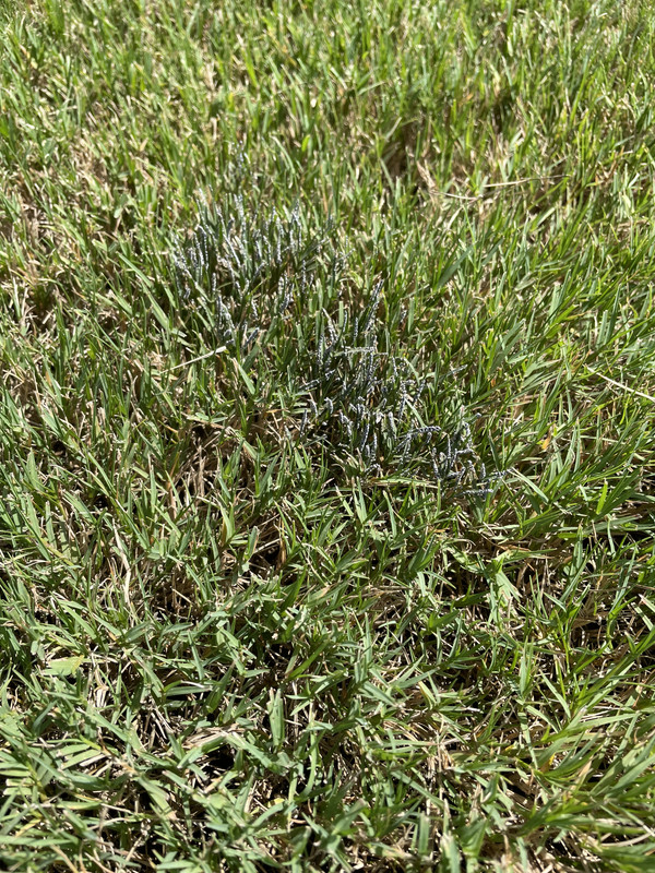 5 AC6 C5 C8 30 D1 433 A 93 E0 4 DB80 A7978 DB — Postimages