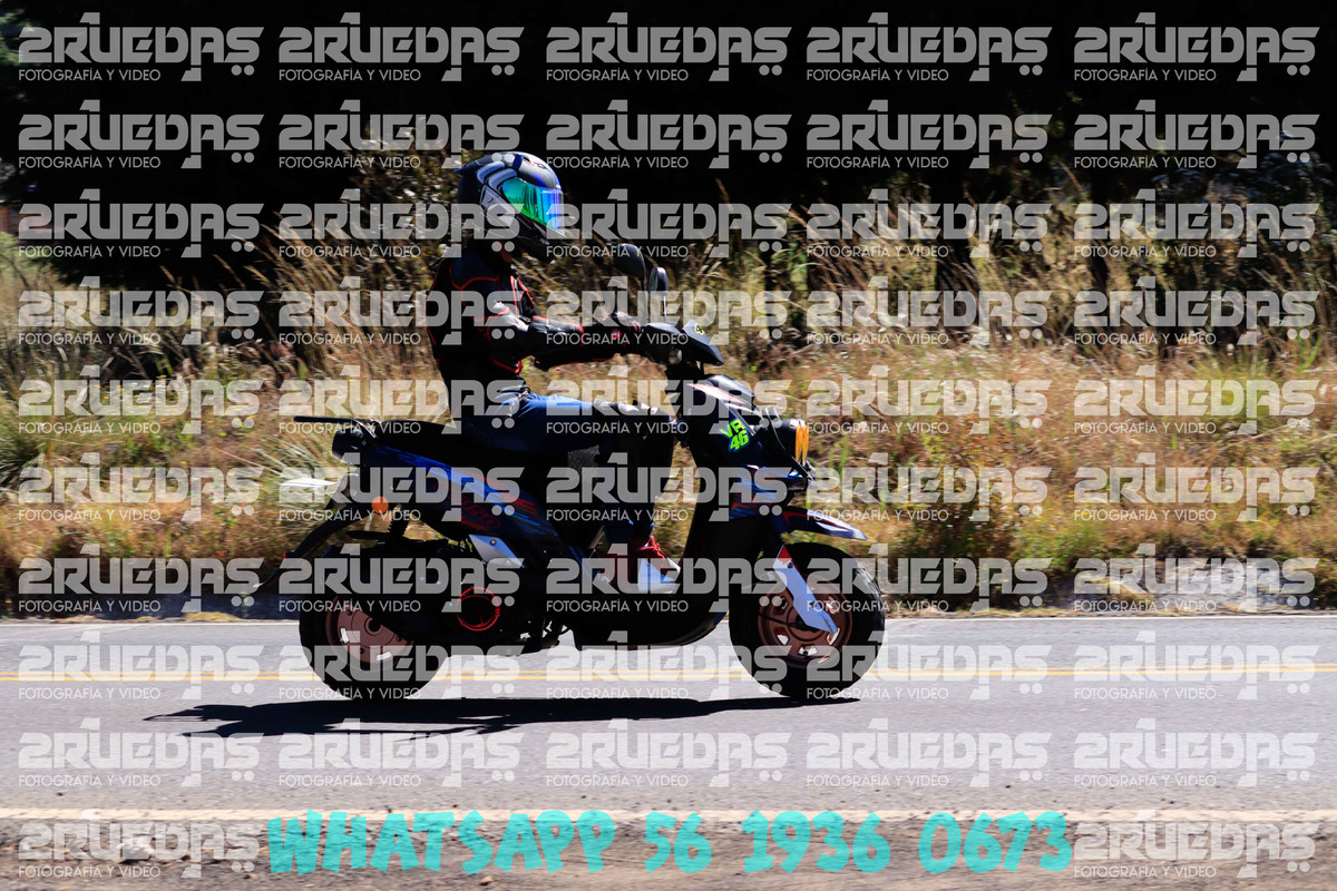 MG 0513 — Postimages