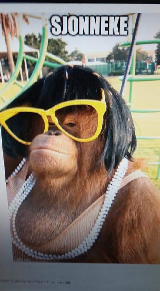 aap sjon — Postimages