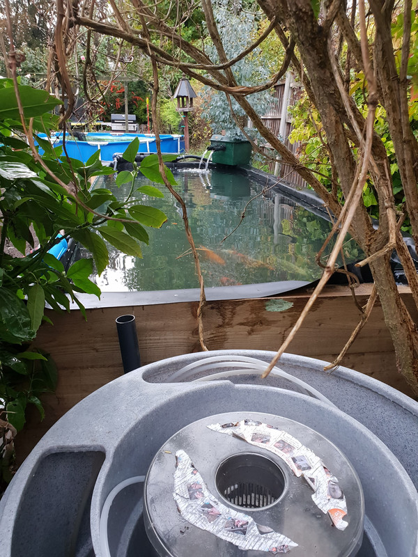New 5m x 1.8m sleeper pond with window - Your Pond Forum - Pond Life