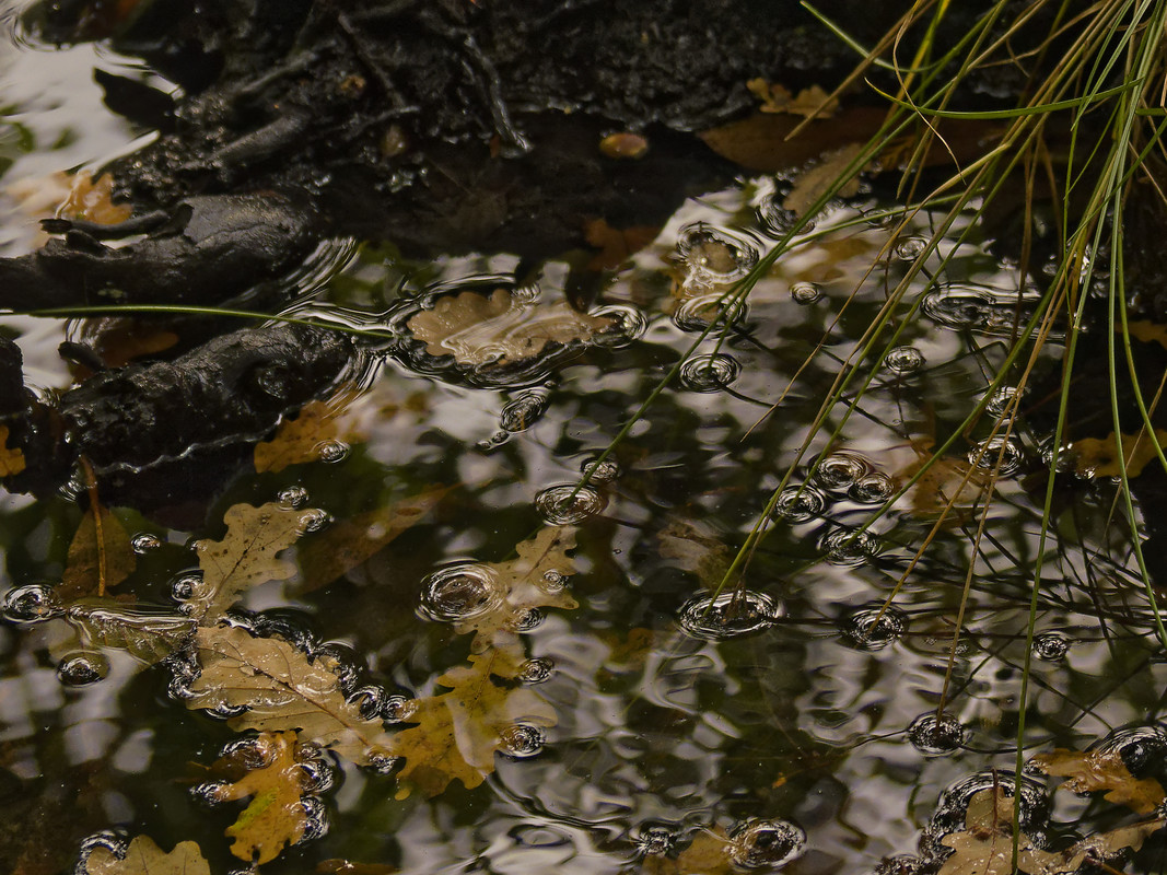 PA022453 — Postimages