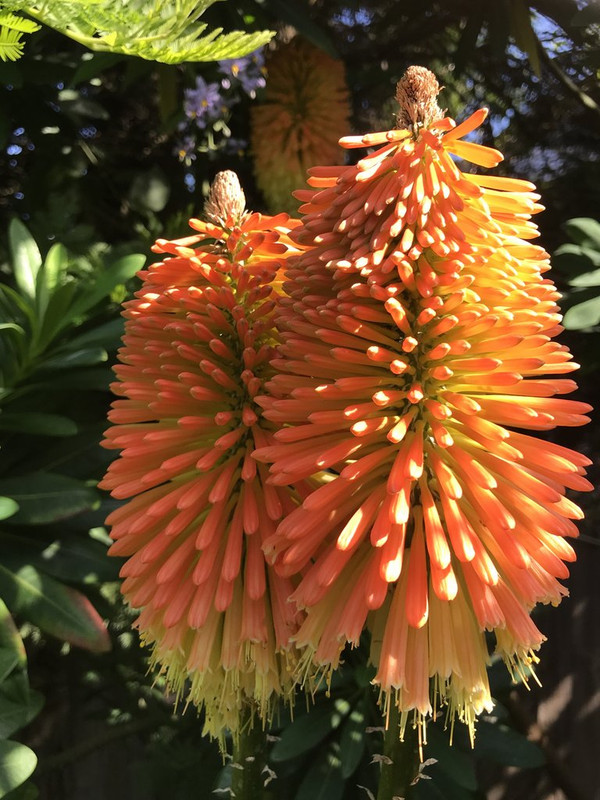 6 E47 Cacf A287 4195 B8 C3 70242 A63 D6 F7 Postimages