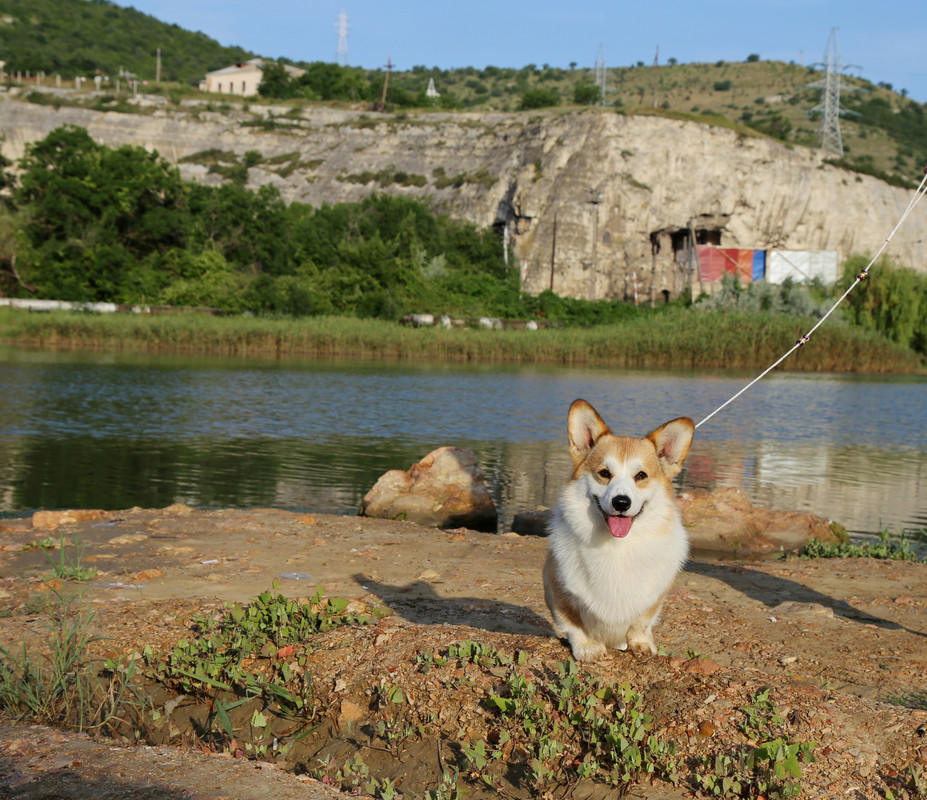 IMG 6563 3 07 21 — Postimages