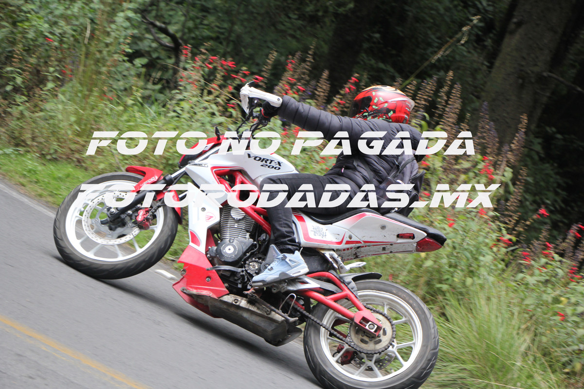 IMG 1022 — Postimages