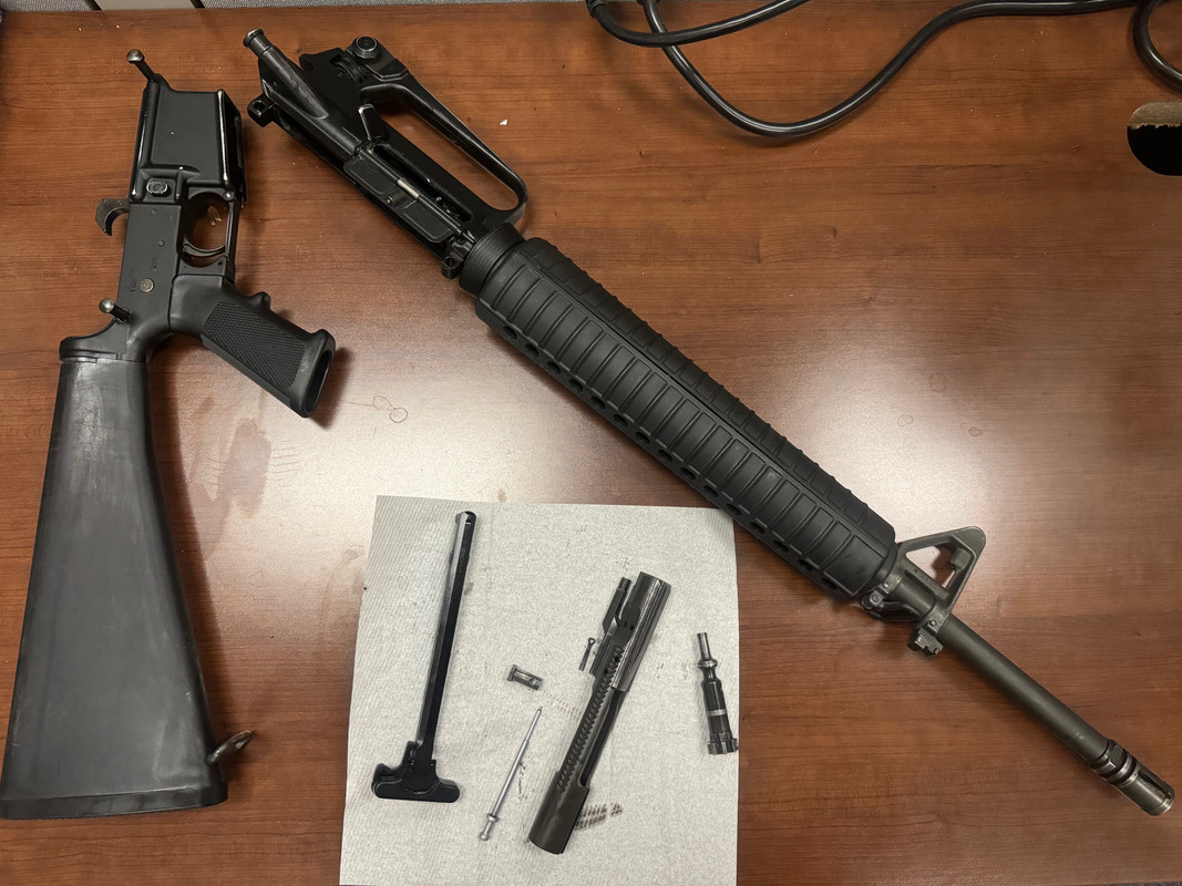 Clone rifles are the most interesting part of firearms ownership ...