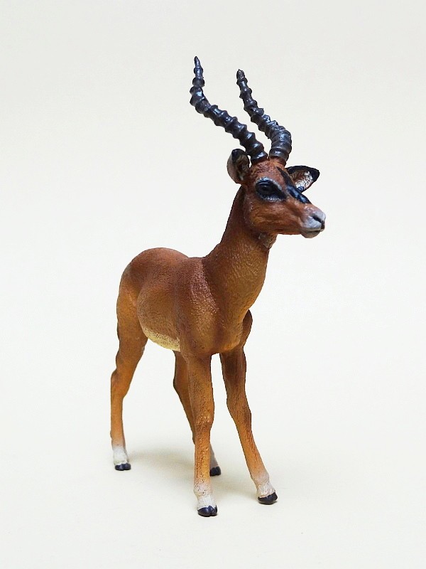 Antelope Elegance - Page 6