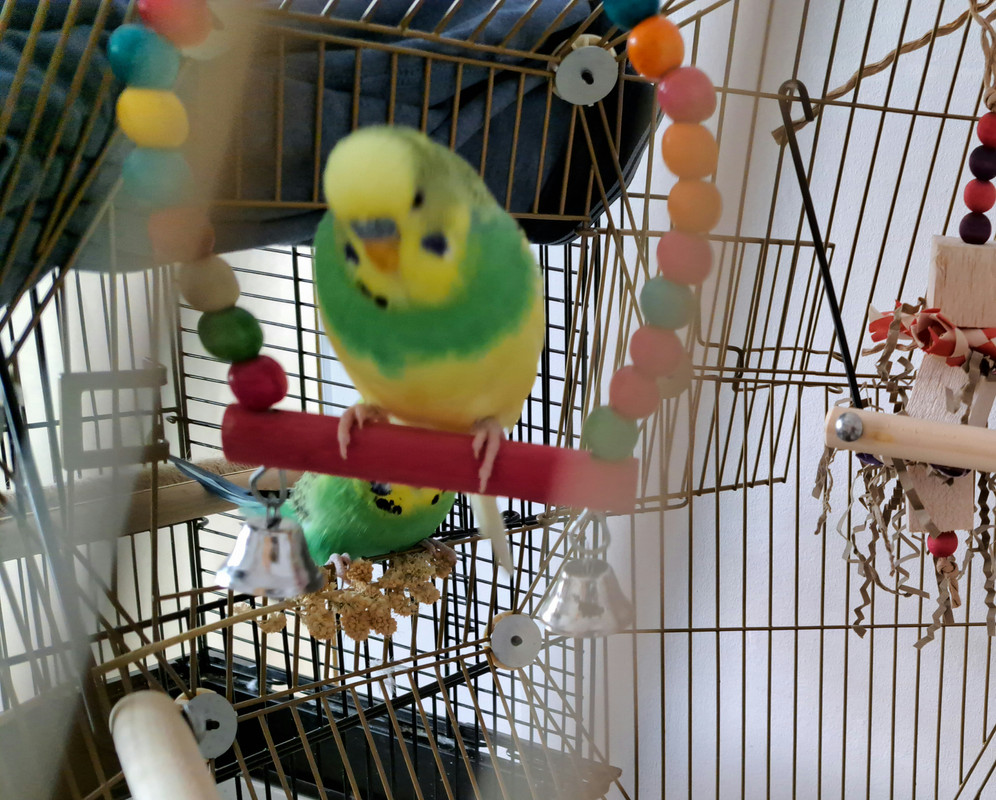 20230606 162927 — Postimages