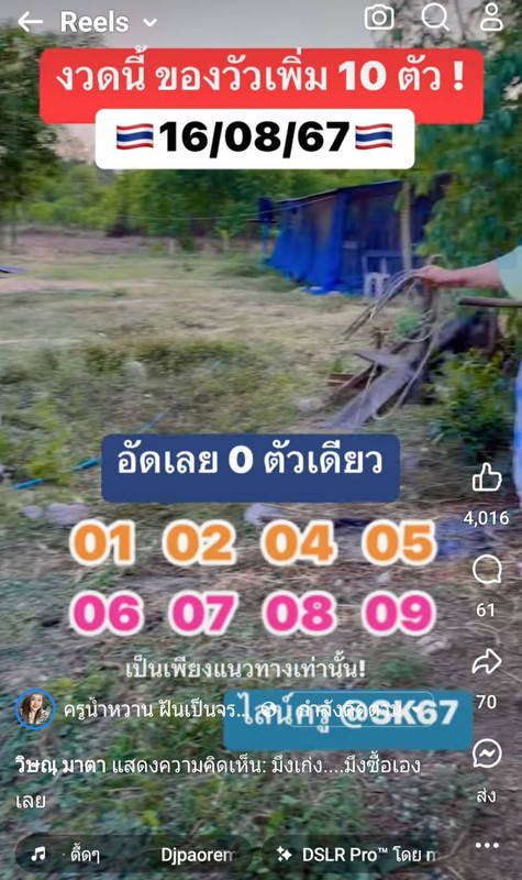 3878558 0 — Postimages