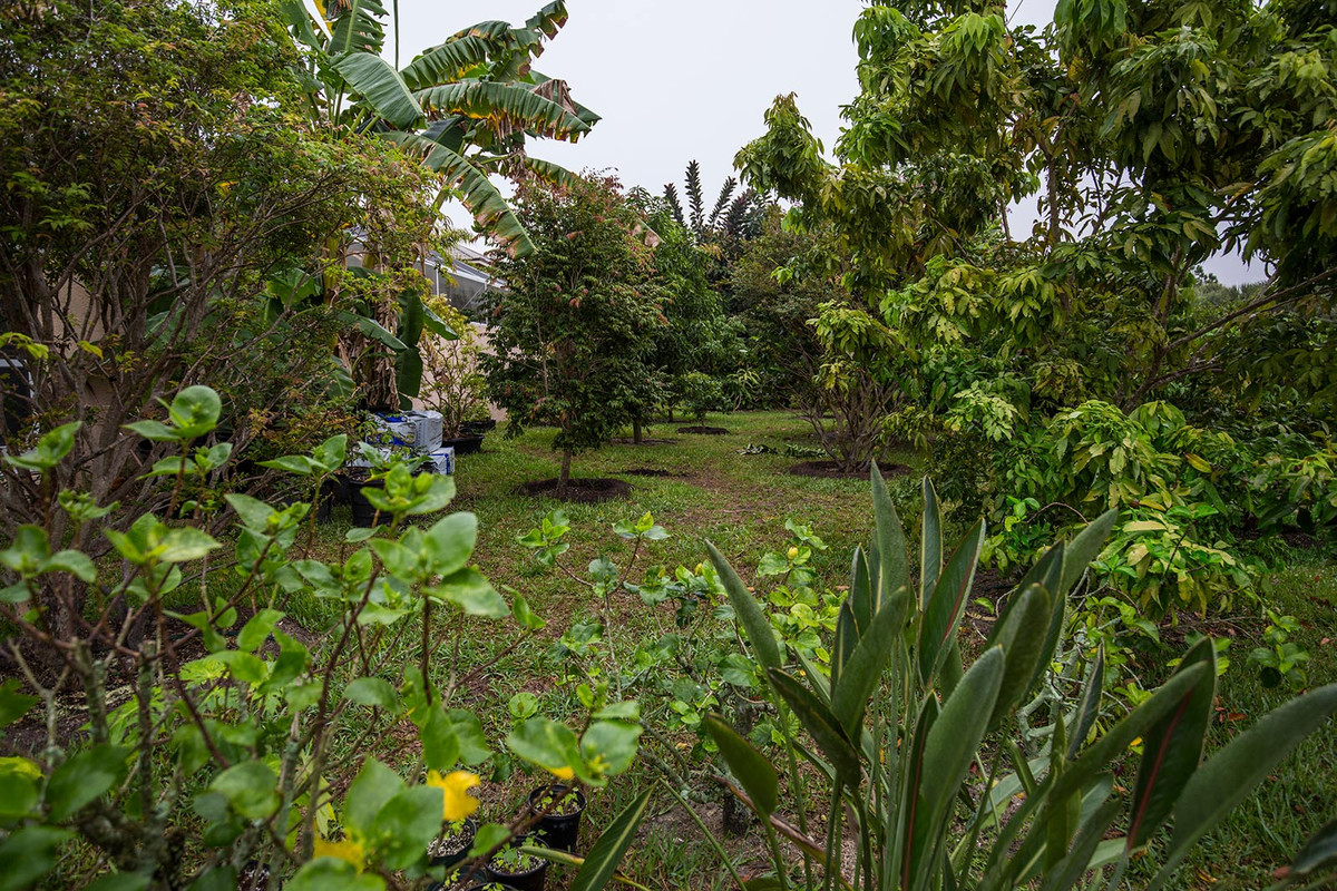 655C8090 — Postimages