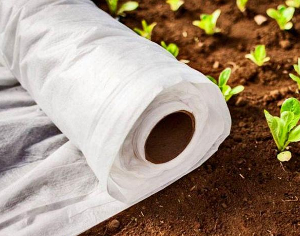 "Growtex Net" - контакти, товари, послуги, ціни