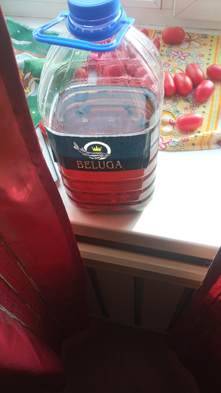 IMG 20230802 185239 — Postimages