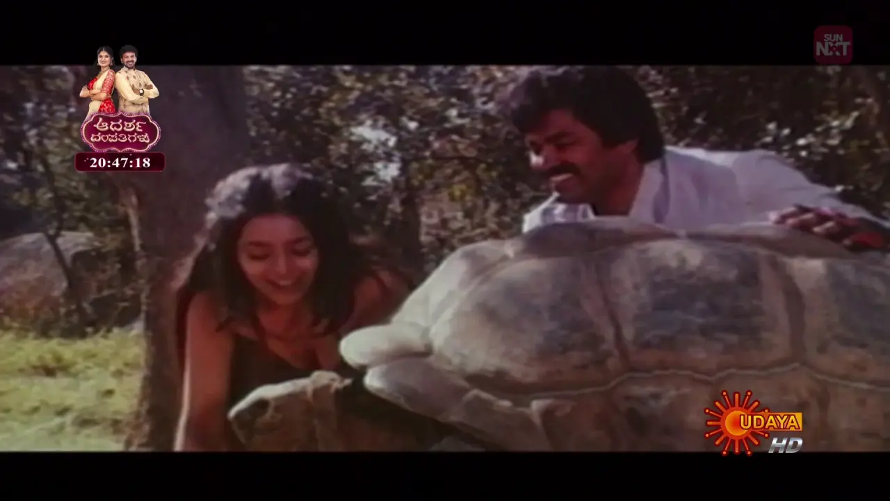 f 41 (2) — Postimages