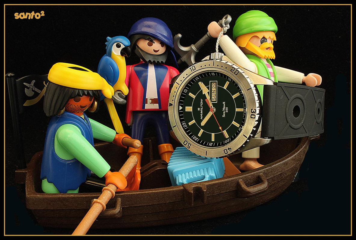 025 Hamilton Sea Hawk — Postimages
