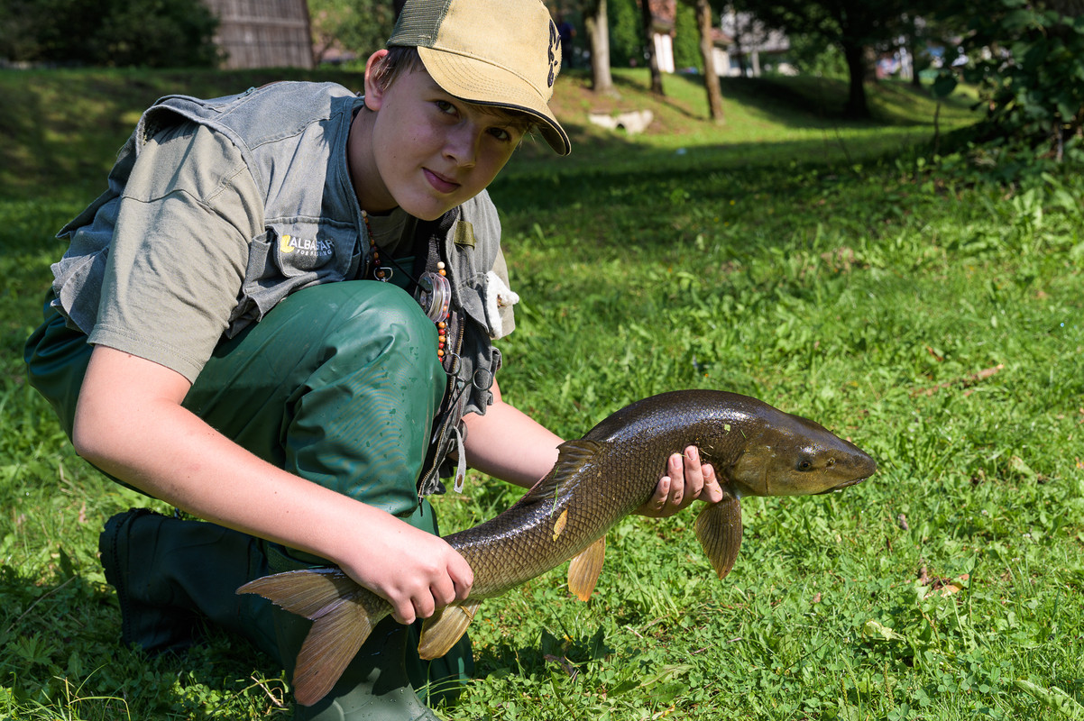 DSC 4954 — Postimages